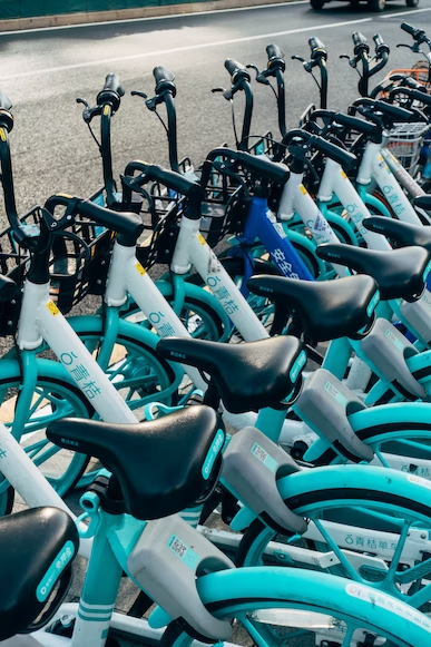 GitHub - cezarmendes/Seoul-BikeSharing_DataAnalysis