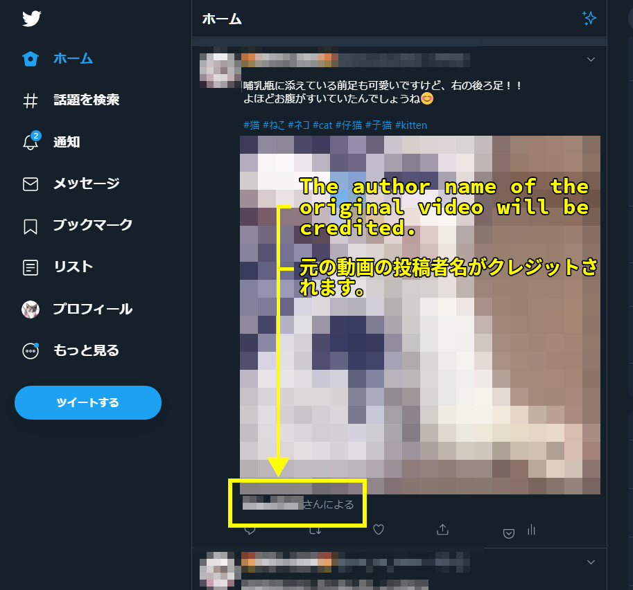 GitHub - m-ikumi/Create_List_Of_Twitter_Video: Create list of Twitter video