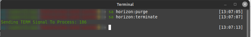 Horizon Commands Not Found · Issue #43464 · laravel/framework · GitHub