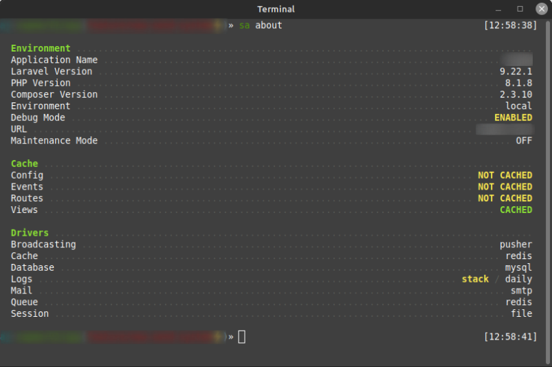 Horizon Commands Not Found · Issue #43464 · laravel/framework · GitHub