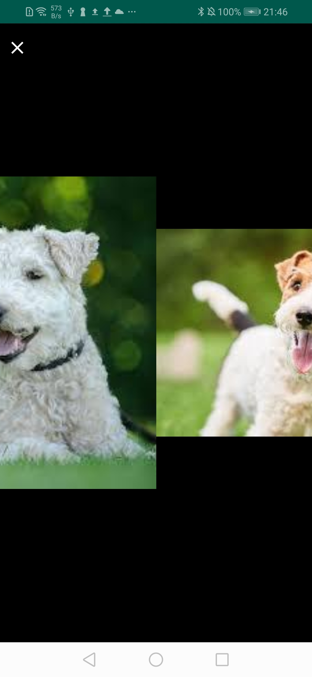 GitHub - katafuchix/ImageSearchSampleKotlin: Getting Image URLs by Yahoo Image Search With Jsoup ...