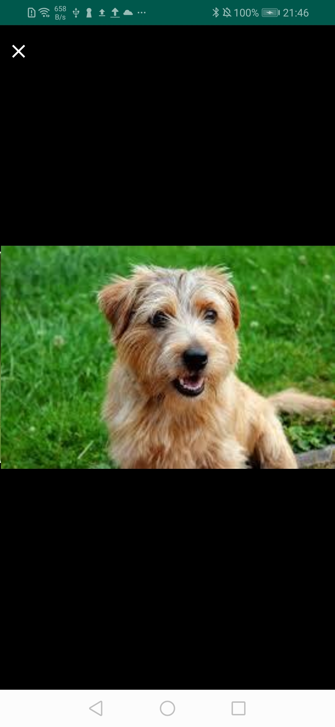 GitHub - katafuchix/ImageSearchSampleKotlin: Getting Image URLs by Yahoo Image Search With Jsoup ...