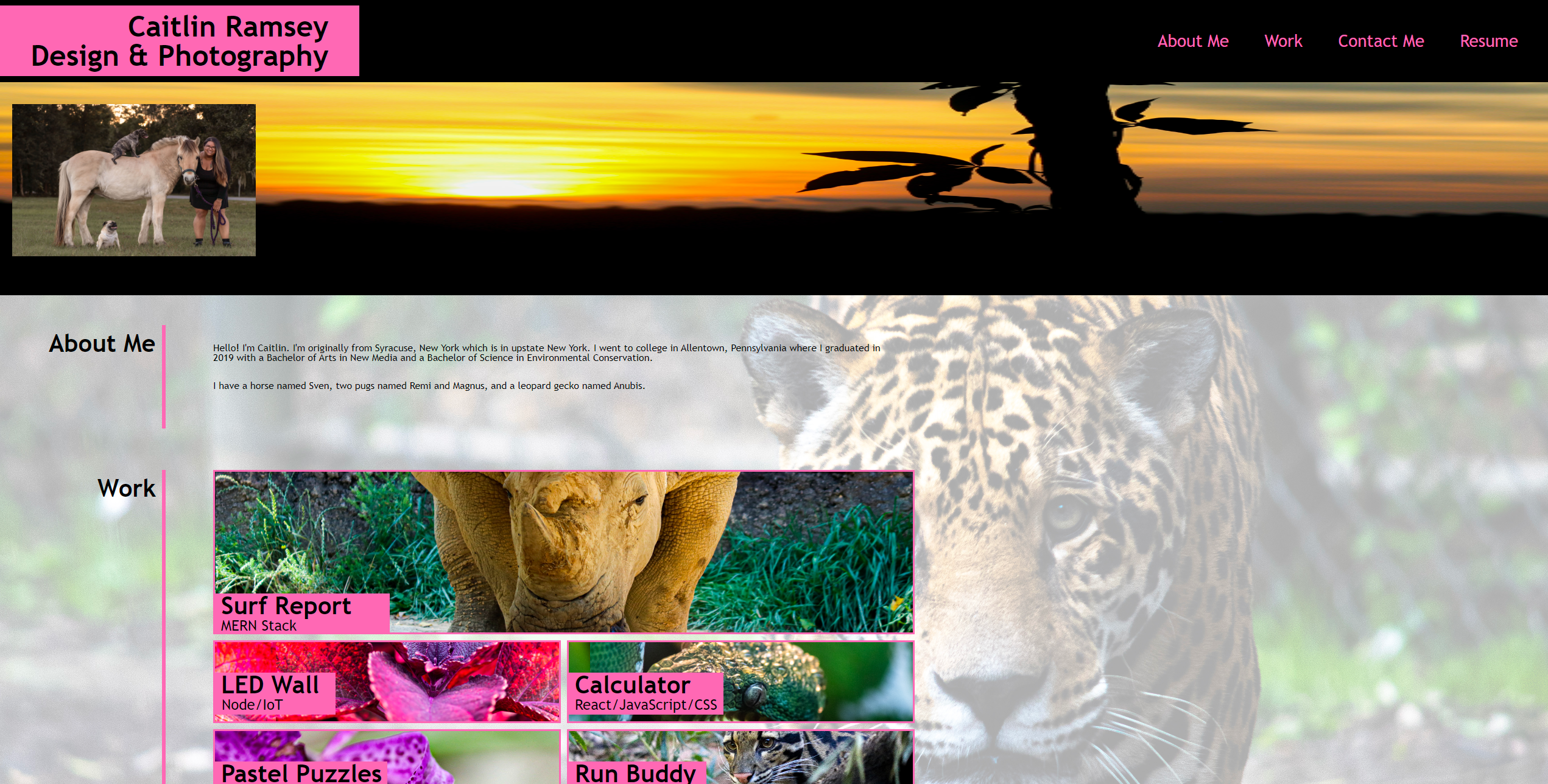 GitHub - caitlinramsey/cr-design-portfolio-project: This basic portfolio was created to expand ...