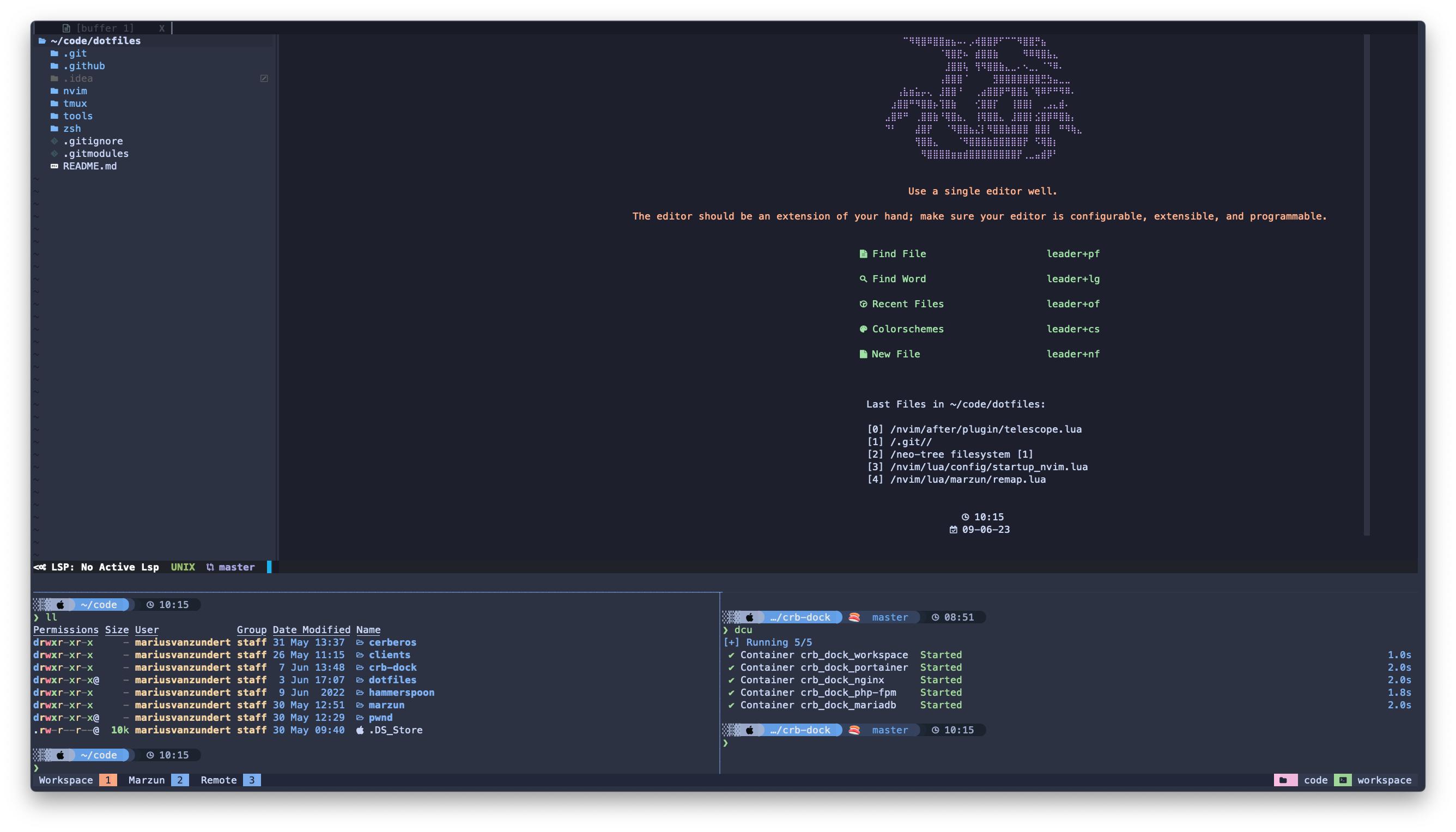 GitHub - Mvzundert/dotfiles: dotfiles, ZSH, TMUX and more, has an install option.