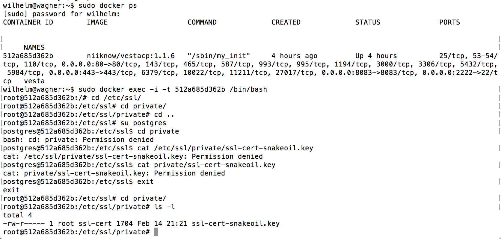 I can't start from docker-compose (postgres fails) · Issue #38 · niiknow/vestacp · GitHub