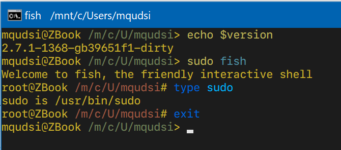 `sudo fish` broken · Issue #5147 · fish-shell/fish-shell · GitHub