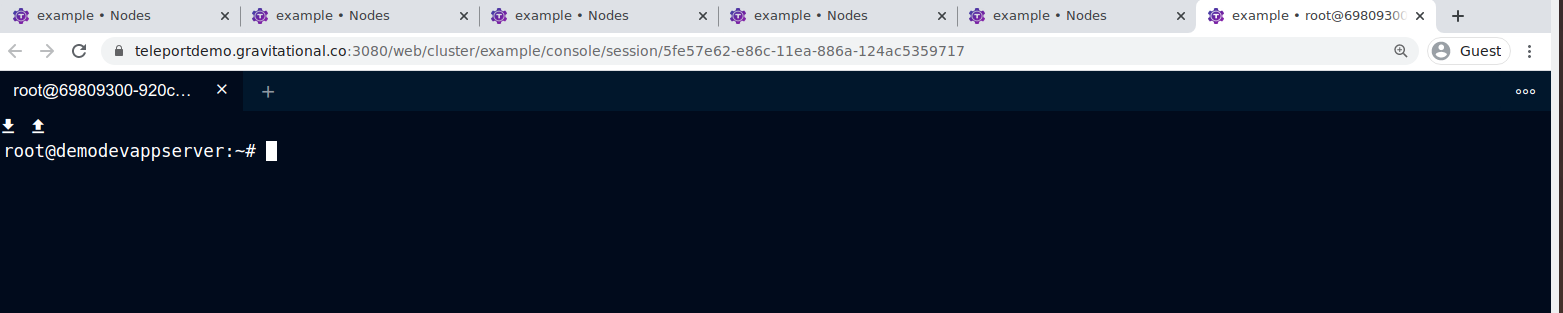 Multiple tabs opened in Web SSH/Dashboard navigation · Issue #4262 · gravitational/teleport · GitHub