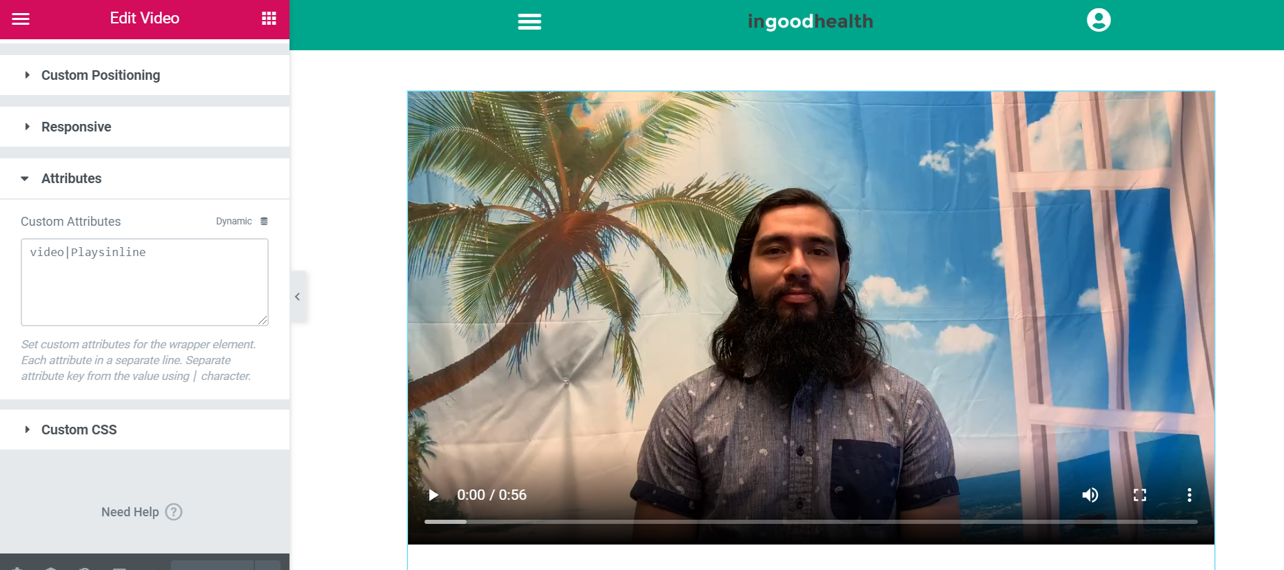 Elementor Videos don't recognize Playsinline Custom Attribute · Issue #10426 · elementor ...