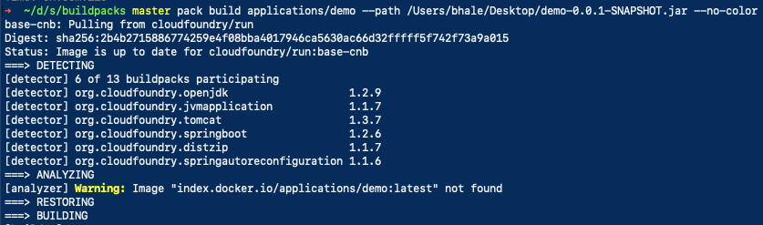 The No Color Flag Doesnt Apply To The Buildpack Log Output In Build Step · Issue 123