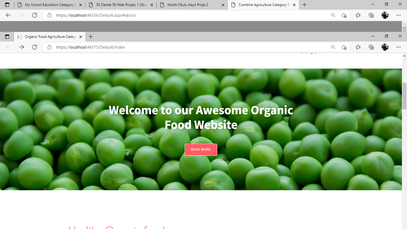 GitHub - ersinbulut/50Derste50Proje