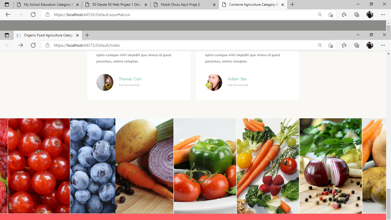 GitHub - ersinbulut/50Derste50Proje