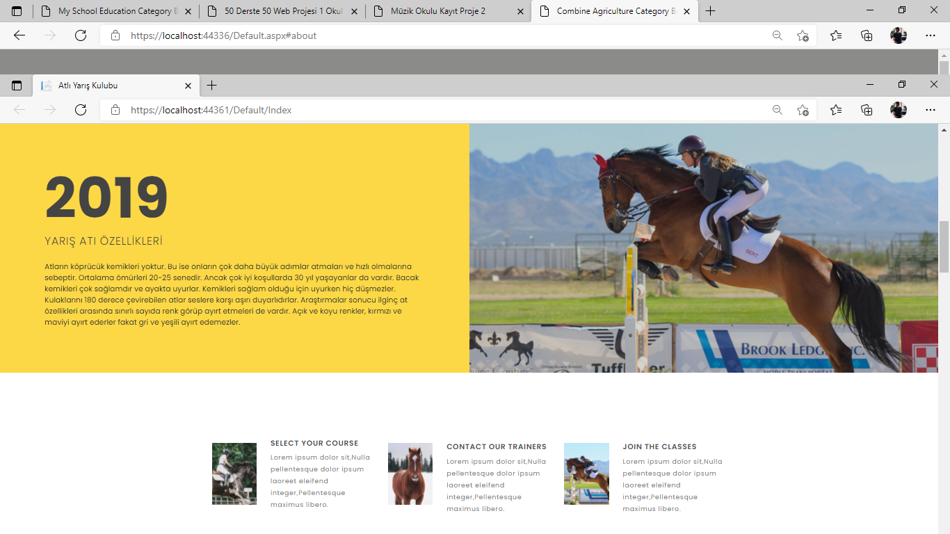 GitHub - ersinbulut/50Derste50Proje