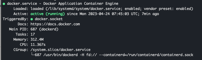 Warning Messages in Portainer Logs Caused by docker.sock not Available in Docker Swarm Setting ...