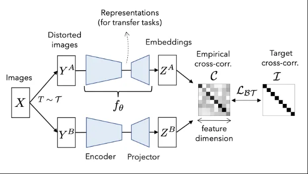 GitHub - Sophia-Schuster/barlow-twins: Pesquisa apoiada pela FAPESP ...