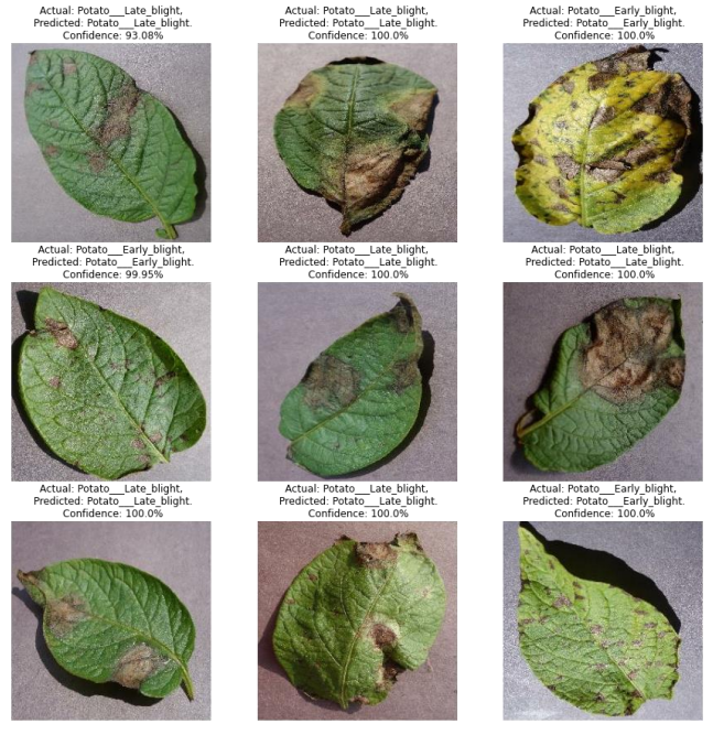 GitHub - GalavBhatt/Potato_Leaf_Disease_Classification
