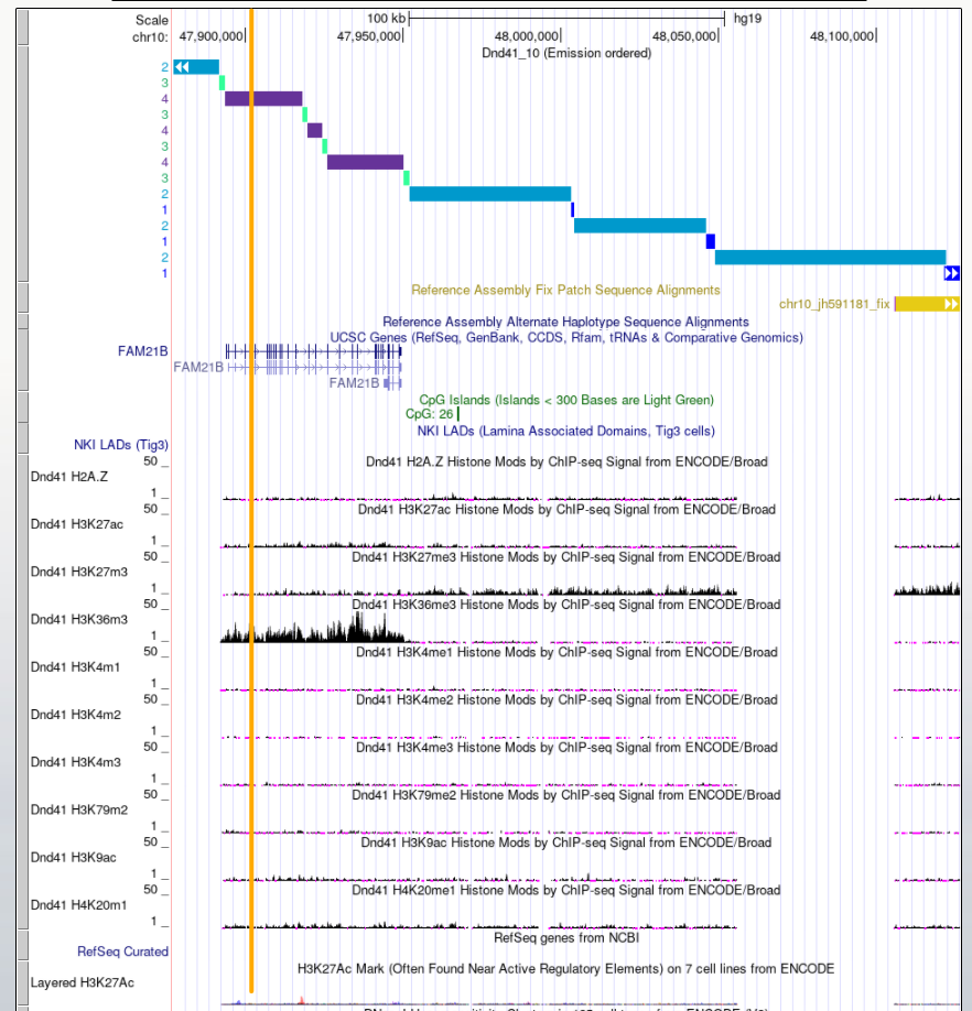 GitHub - alexeyshmelev/hse_hw3_chromhmm
