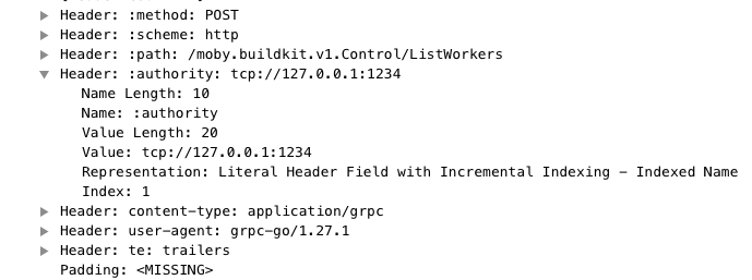 Buildctl sends malformed `:authority` header when connecting to Buildkitd TCP service · Issue ...