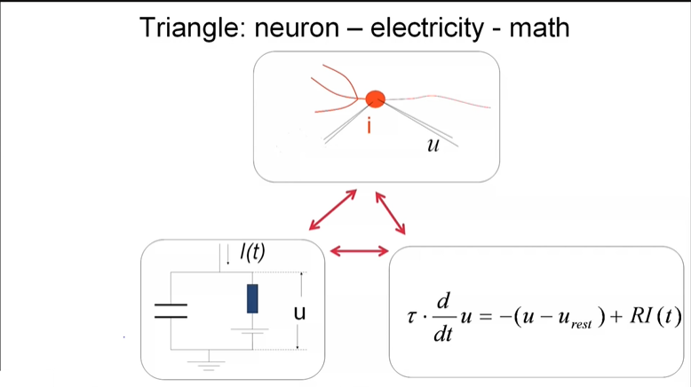 GitHub - Alex-Duan-0001/Classifying-MNIST-digits-with-a-spiking-neural ...