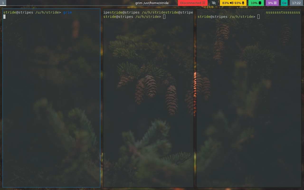 column setting causes empty lines with tiling WMs on startup · Issue ...