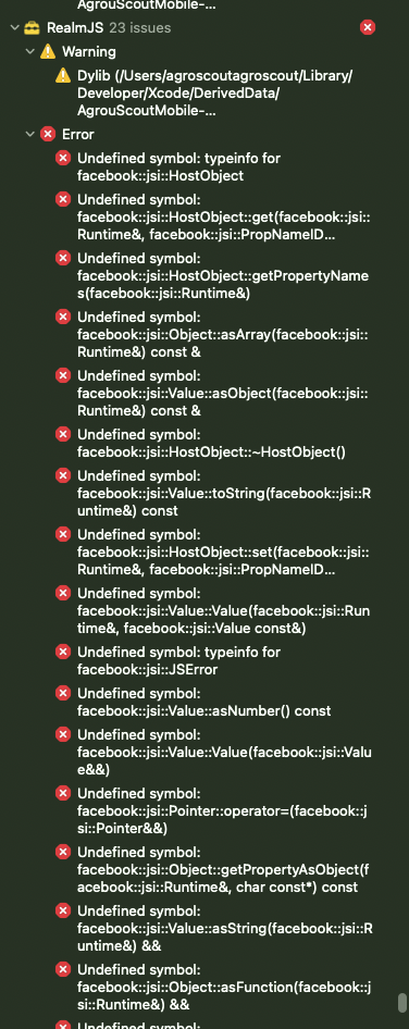realm.object() return empty object · Issue #4232 · realm/realm-js · GitHub