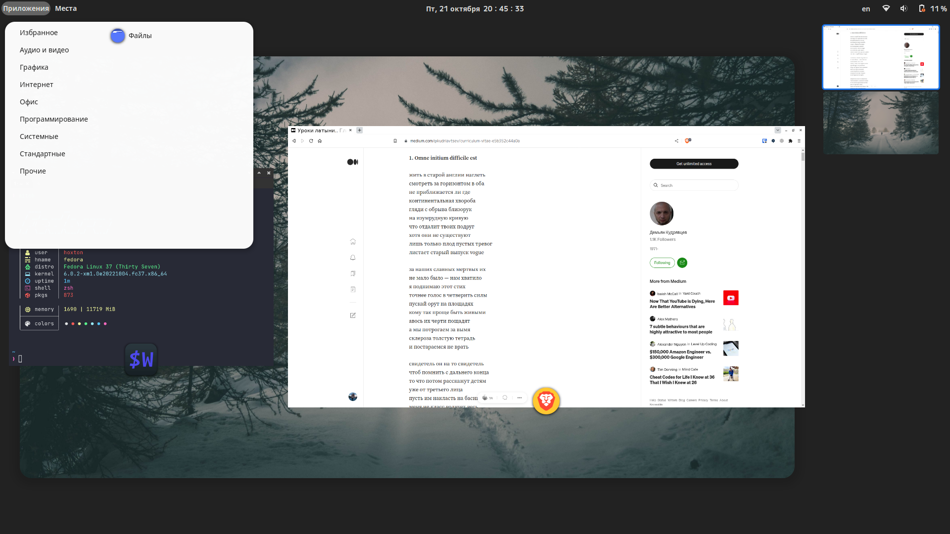 Strange indent · Issue #249 · vinceliuice/Orchis-theme · GitHub