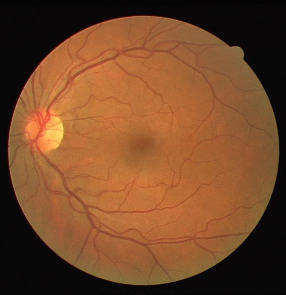 GitHub - Hridoy-bit/Image-segementation-using-modified-u-net-architecture: It is a projects for ...