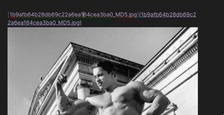 Links like file://// · Issue #2 · Sergei-Korneev/obsidian-local-images-plus · GitHub