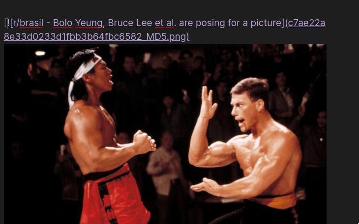 only download but not replace automatically · Issue #18 · Sergei-Korneev/obsidian-local-images ...