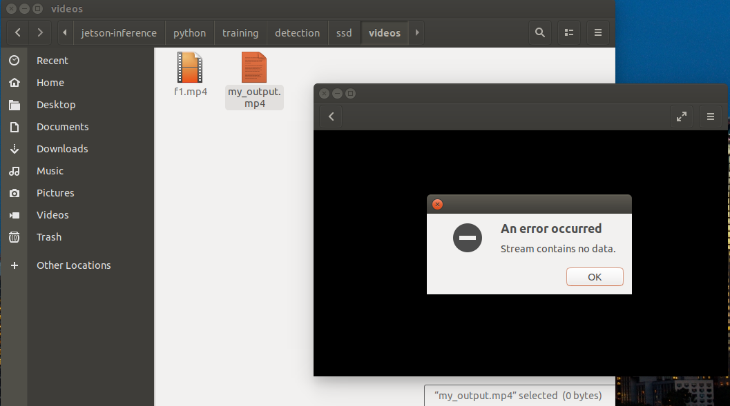 How To Save Video Processing On Detectnet · Issue 666 · Dusty Nv Jetson Inference · Github