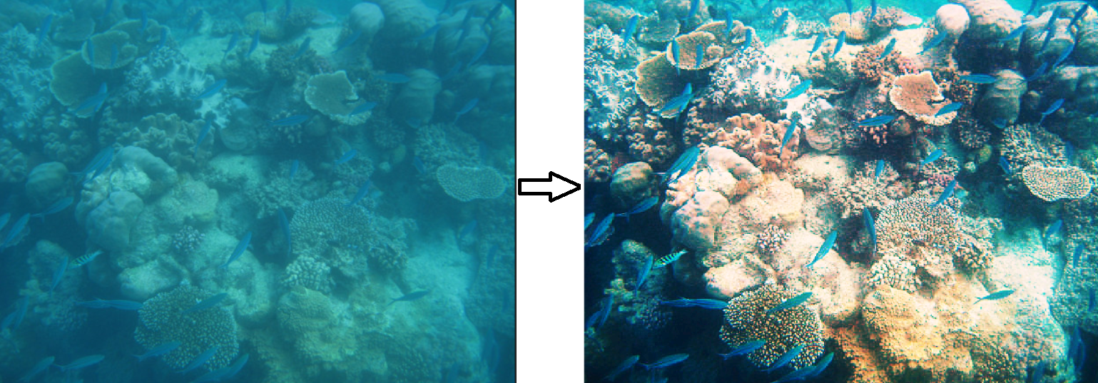 GitHub - siddiquiazam/Underwater-Image-Enhancement