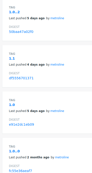 Docker Hub Semver Configuration Issue · Issue 10 · Metrolinemetroline · Github