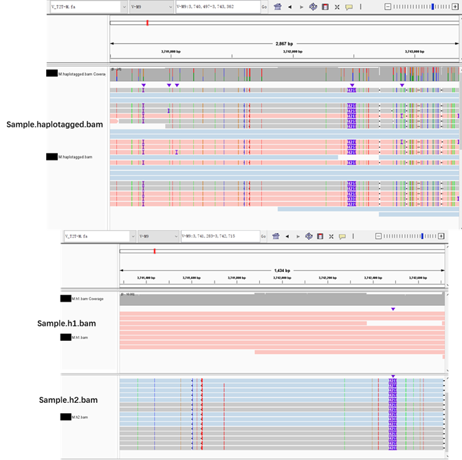 The Splitted H1 Bam And H2 Bam Contain Reads From Both Two Haplotypes · Issue 460 · Whatshap