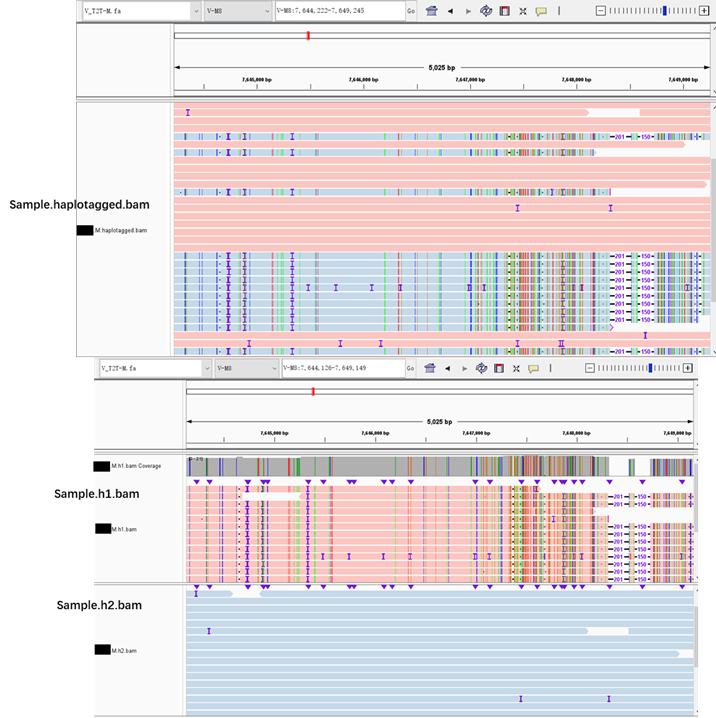 The splitted h1.bam and h2.bam contain reads from both two haplotypes · Issue #460 · whatshap ...