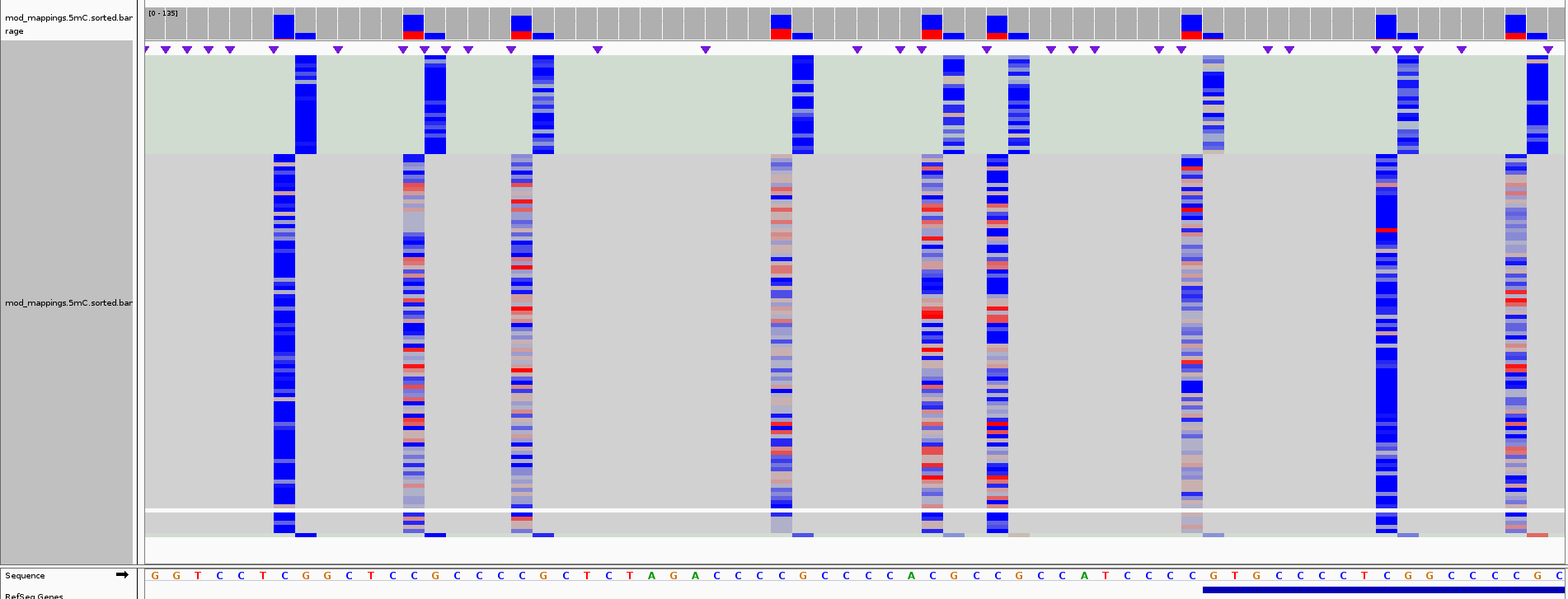 Modified base shift on reverse strand? · Issue #290 · nanoporetech/megalodon · GitHub