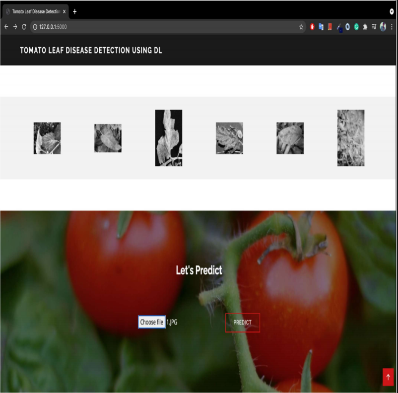 GitHub - parth627/TomatoDiseaseDetectionUsingDeepLearning: The tomato ...