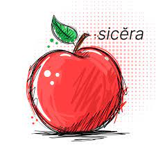 GitHub - nachotrossero/grupo_7_Sicera: Ejercicio integrador para DH con el equipo compuesto por ...