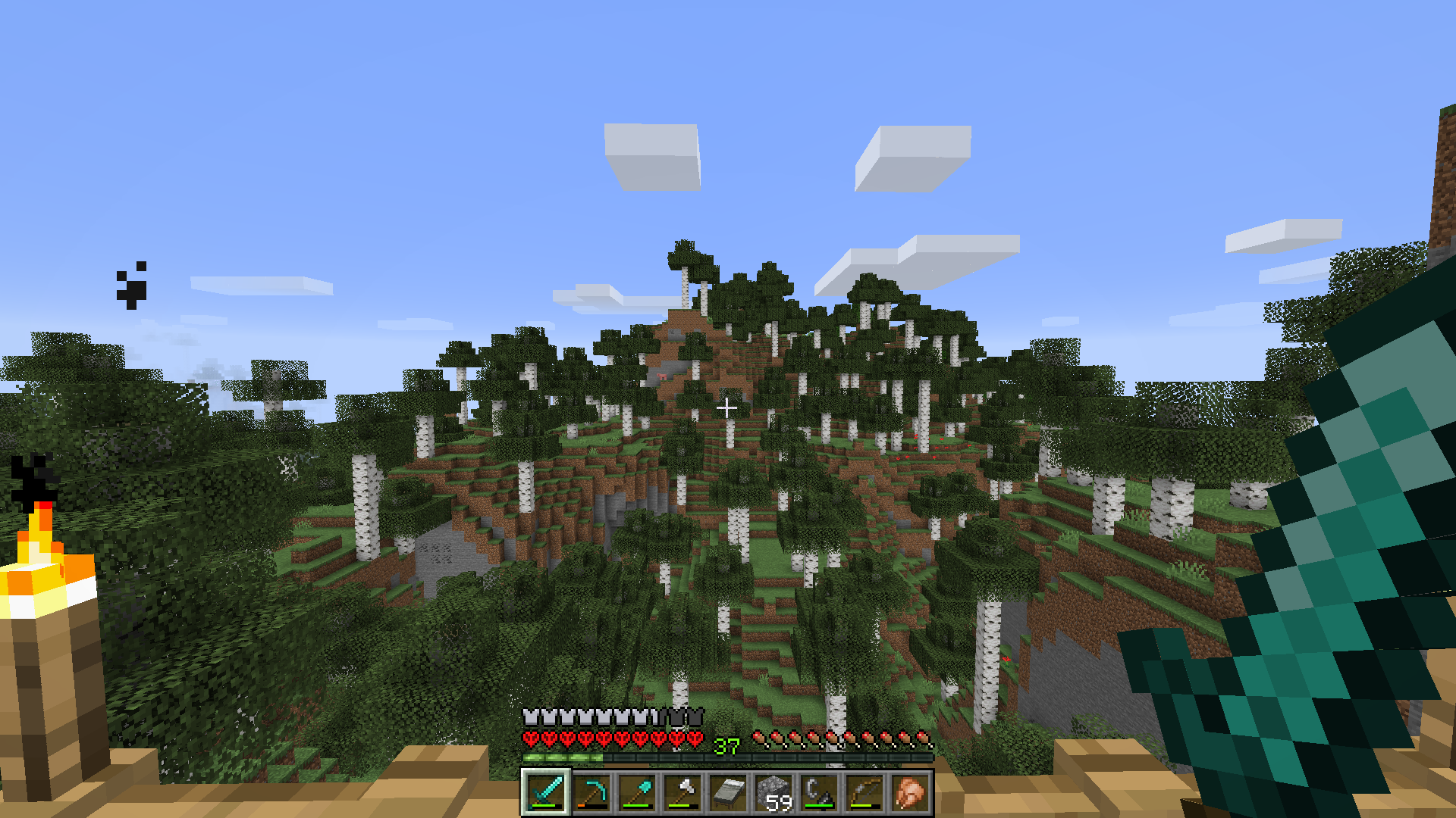 [Visual Bug] Leaves look strange at a distance · Issue #4343 · sp614x/optifine · GitHub