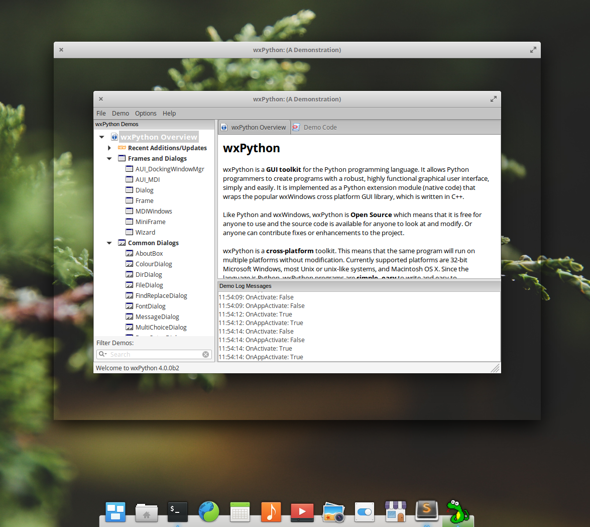 [Tracking] Elementary OS 'Double Border' issue. · Issue #698 · wxWidgets/Phoenix · GitHub