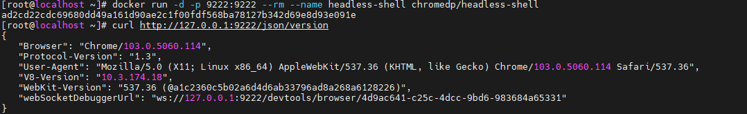 run chromedp on Linux · Issue #1108 · chromedp/chromedp · GitHub