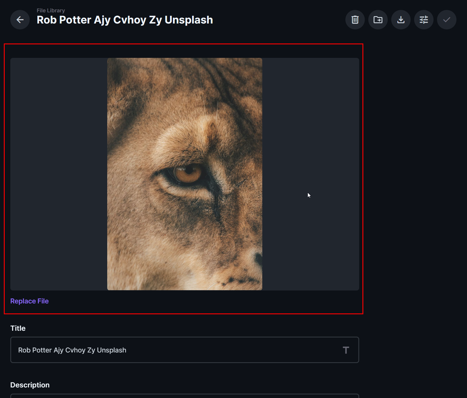 File preview is not working in latest directus studio app (10.4 ...