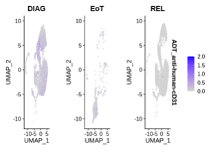 issue with scale in feature plot · Issue #5603 · satijalab/seurat · GitHub