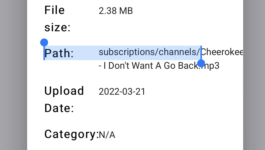 Setting output directory on Synology DSM 7 [YoutubeDL-Material] · Issue ...