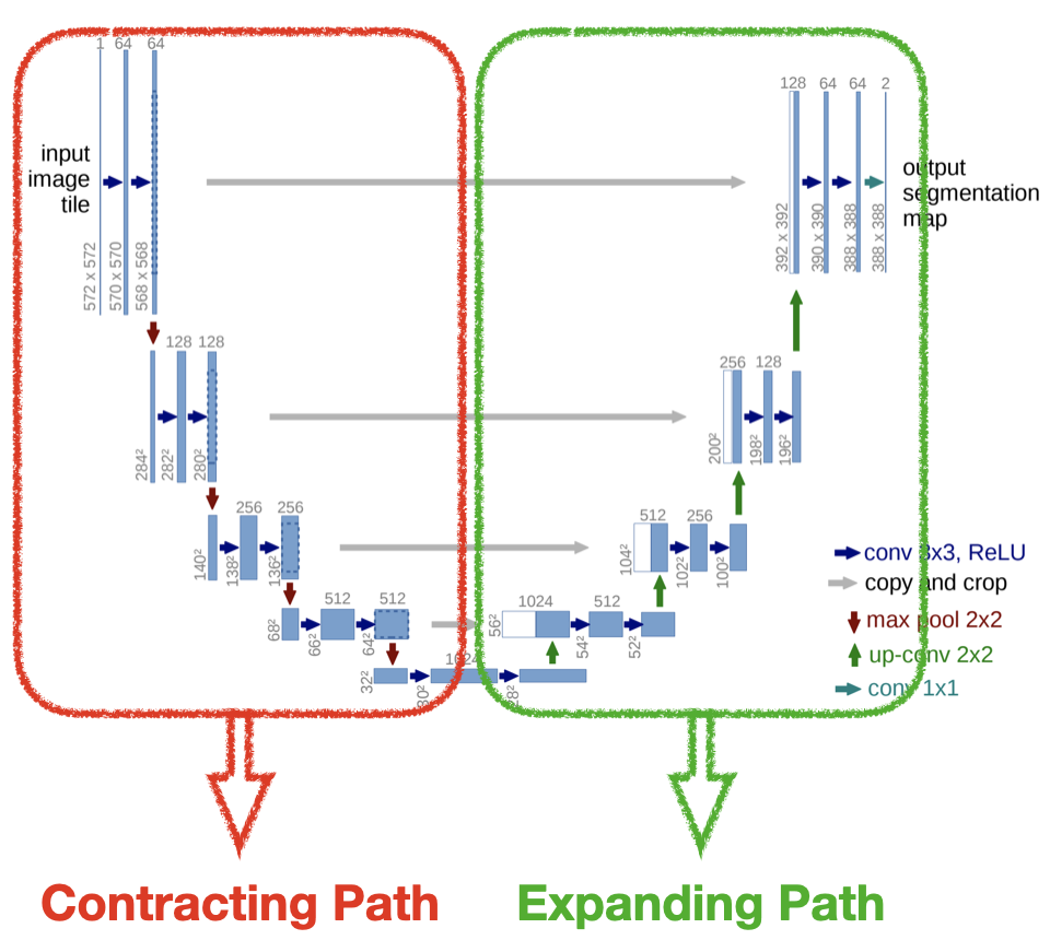 GitHub - rmsgn100/FCN_vs_UNET