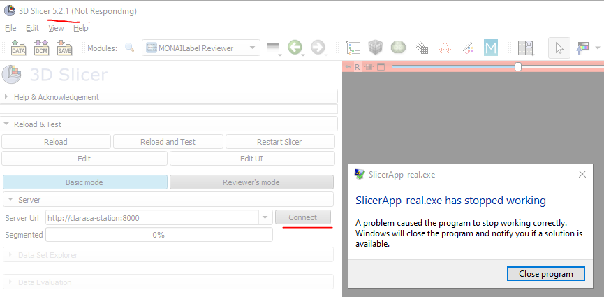 Label Reviewer Not loading · Issue #1300 · Project-MONAI/MONAILabel · GitHub