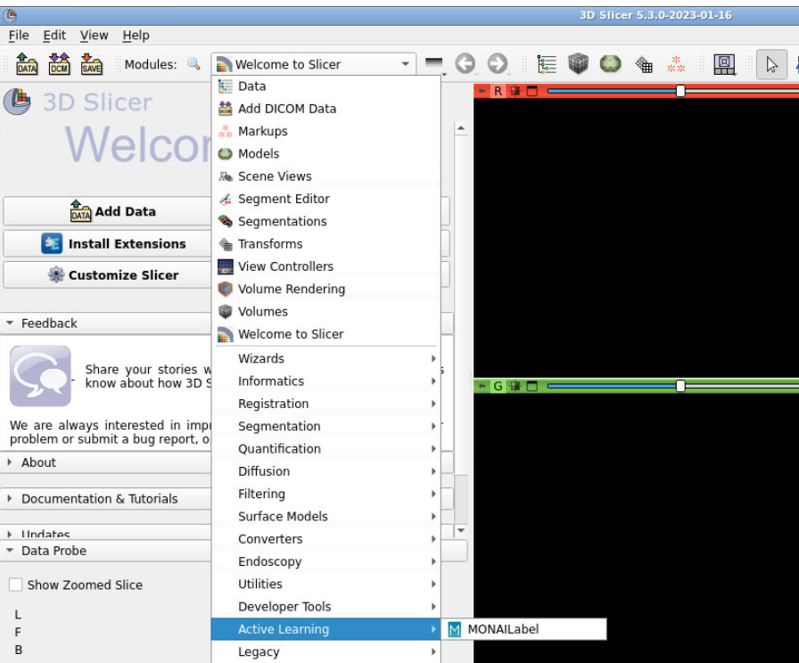 Label Reviewer Not loading · Issue #1300 · Project-MONAI/MONAILabel · GitHub
