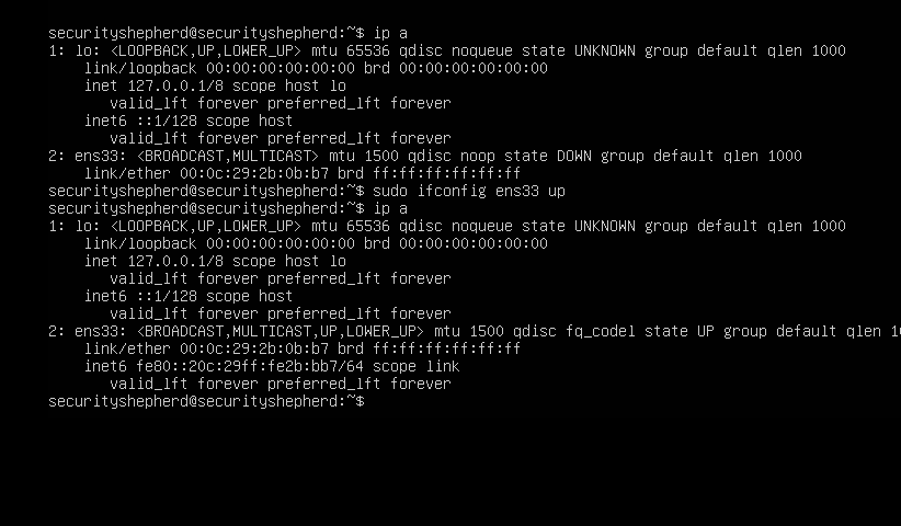 [BUG] only loopback ip on VM v3.1 · Issue #551 · OWASP/SecurityShepherd · GitHub