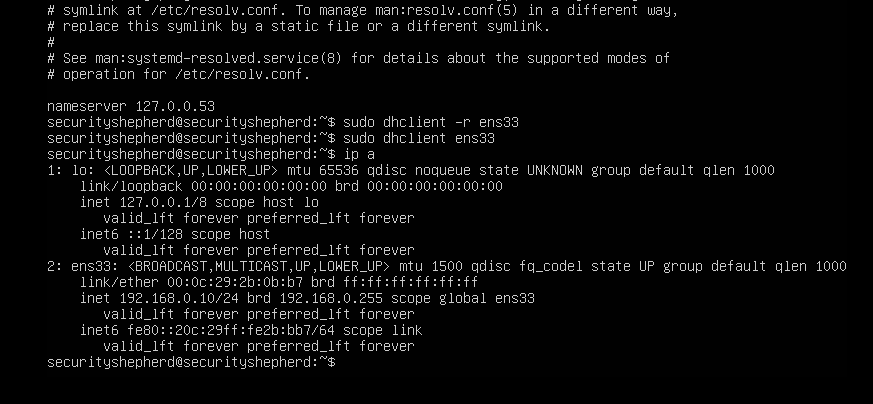 [BUG] only loopback ip on VM v3.1 · Issue #551 · OWASP/SecurityShepherd · GitHub