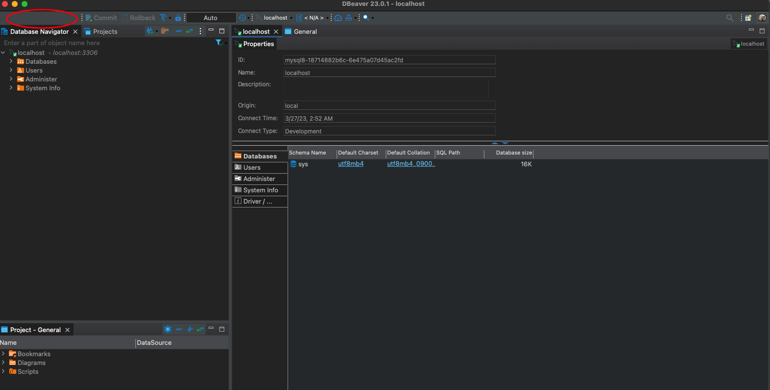DBeaver icons are missing in Version 23.0.1.202303250535 · Issue #19495 ...
