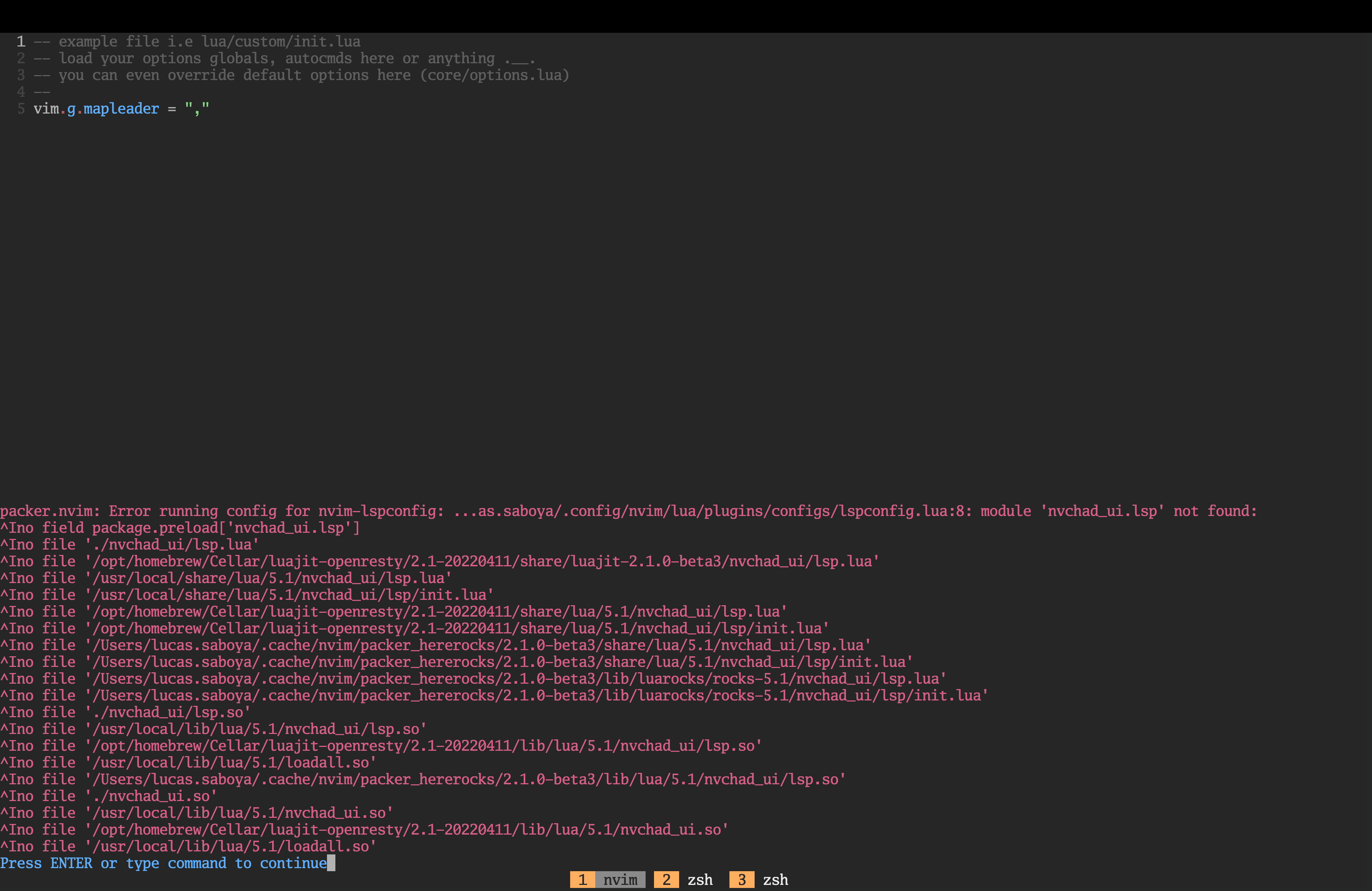 Lspconfig issues · Issue #1420 · NvChad/NvChad · GitHub