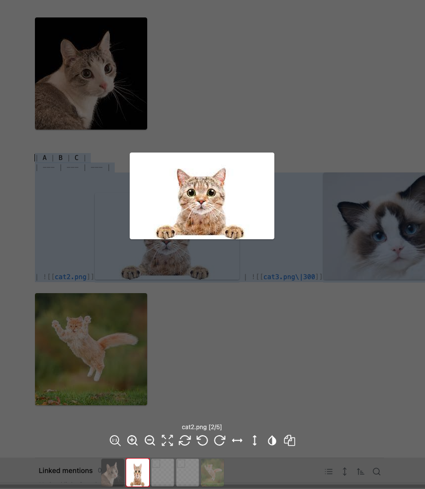Cannot view resized table images in gallery view · Issue #88 · sissilab/obsidian-image-toolkit ...